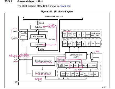 STM32 03 SPI 通信与 ST7789 LCD 简易驱动实现